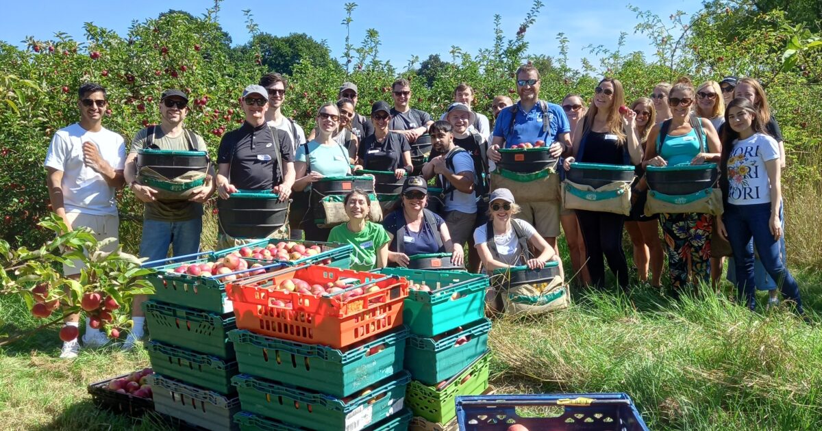 Government pledges millions to help rescue more food from farms