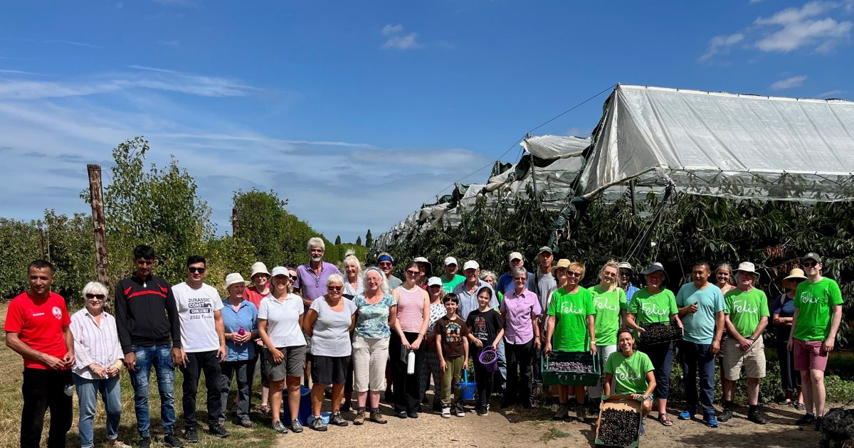 Kent Fruit Will Feed Those in Need across the Capital