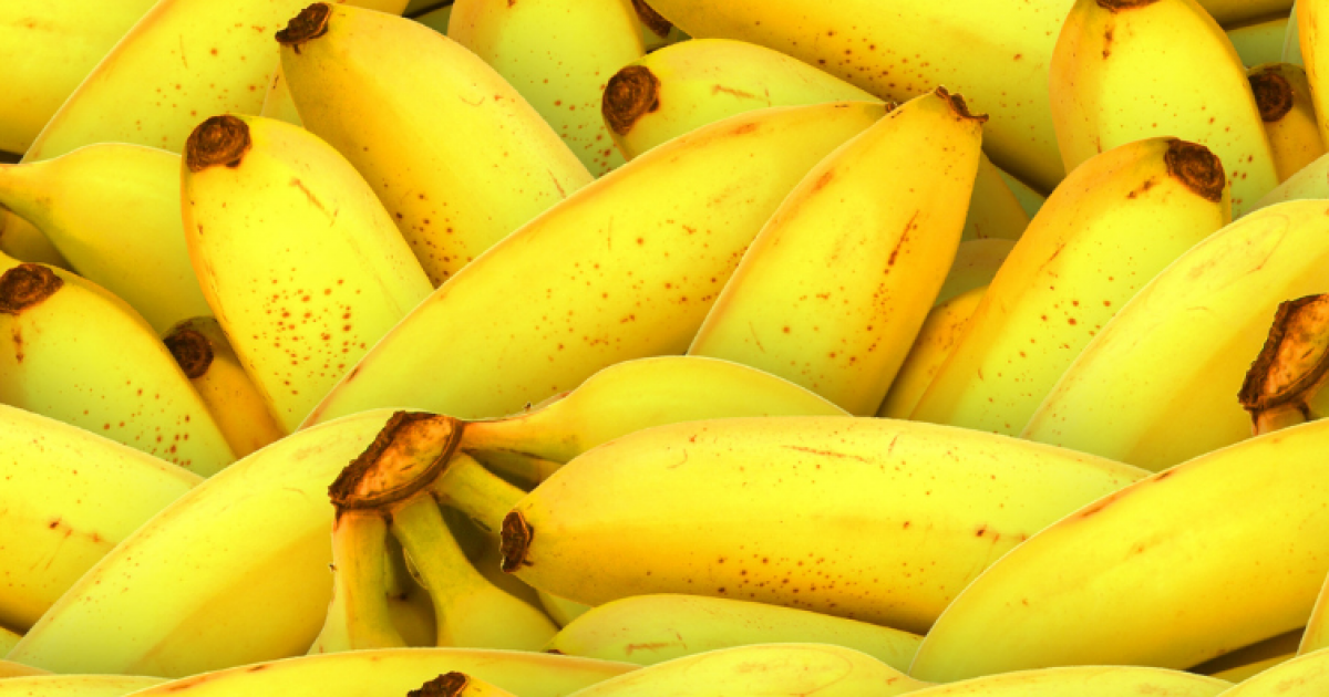 Food Waste is Bananas - Take our Challenge!