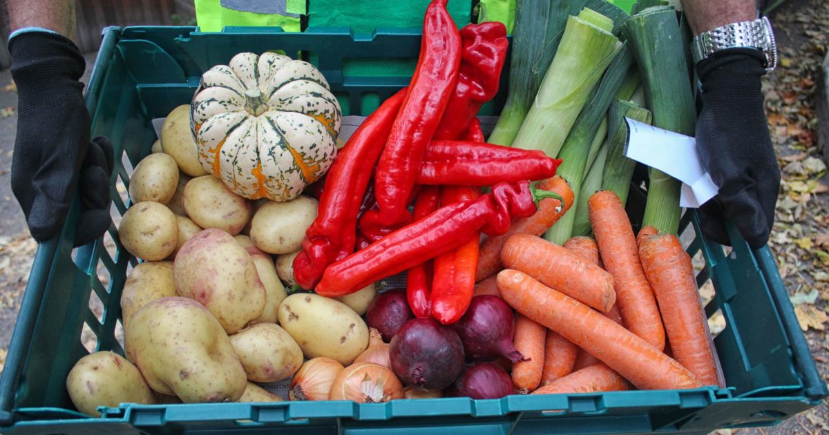 Volunteer Blog: Angus' day in our warehouse, and delivering to…